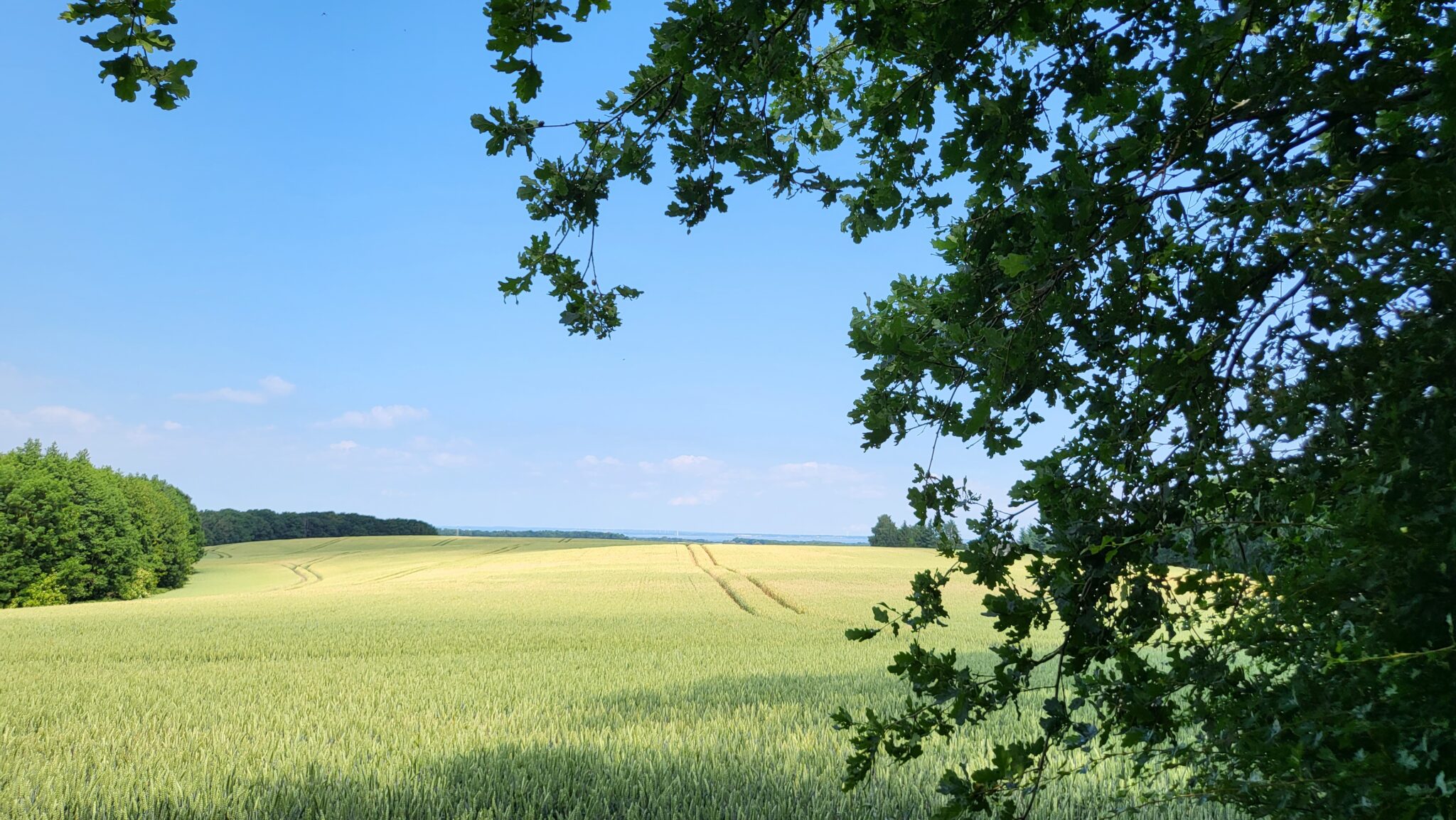 Willkommen in Dassow - Dassow - Tor zur Ostsee